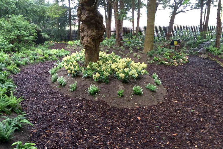 Mr Muck's Bark Mulch